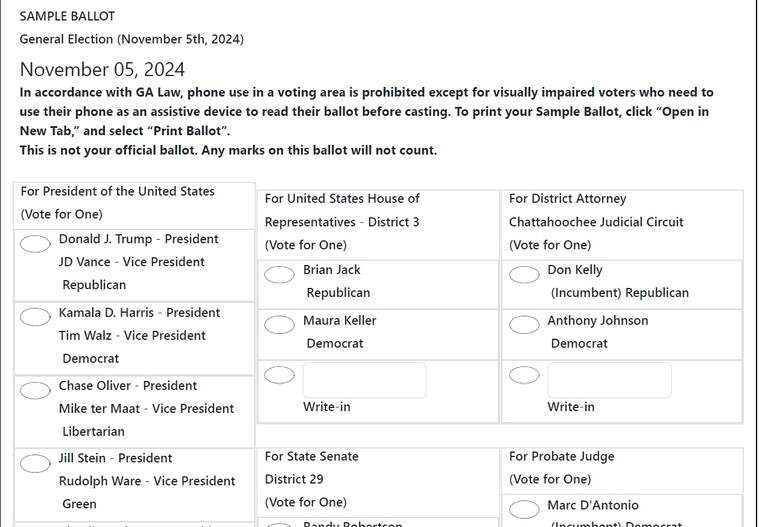 Using sample ballots in Georgia: a voter’s guide | Columbus Ledger-Enquirer